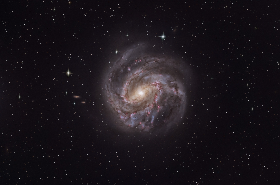 Southern Pinwheel Galaxy M83 | Telescope Live